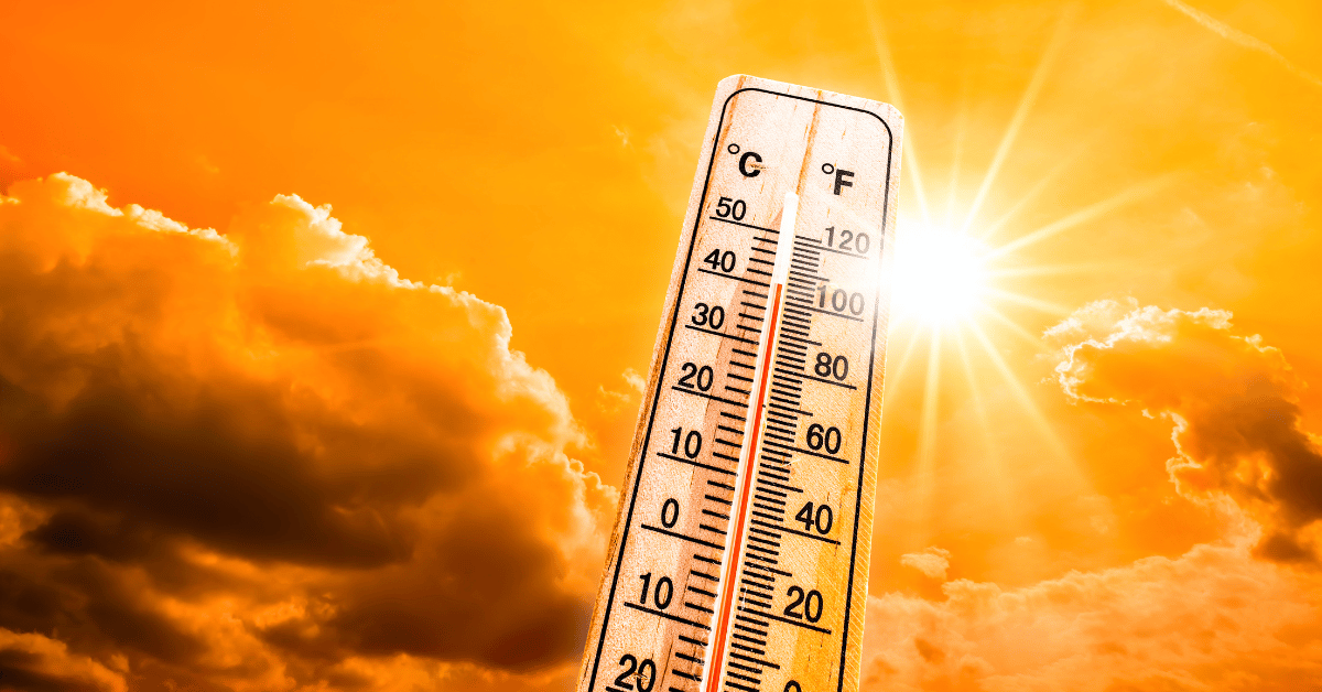 5 top tips for staying cool in hot weather | Careium UK